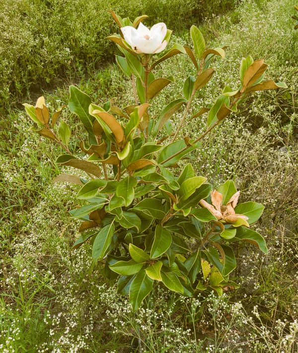 Benefits of Being Still and Quiet - Sustainable Transformation Health ...